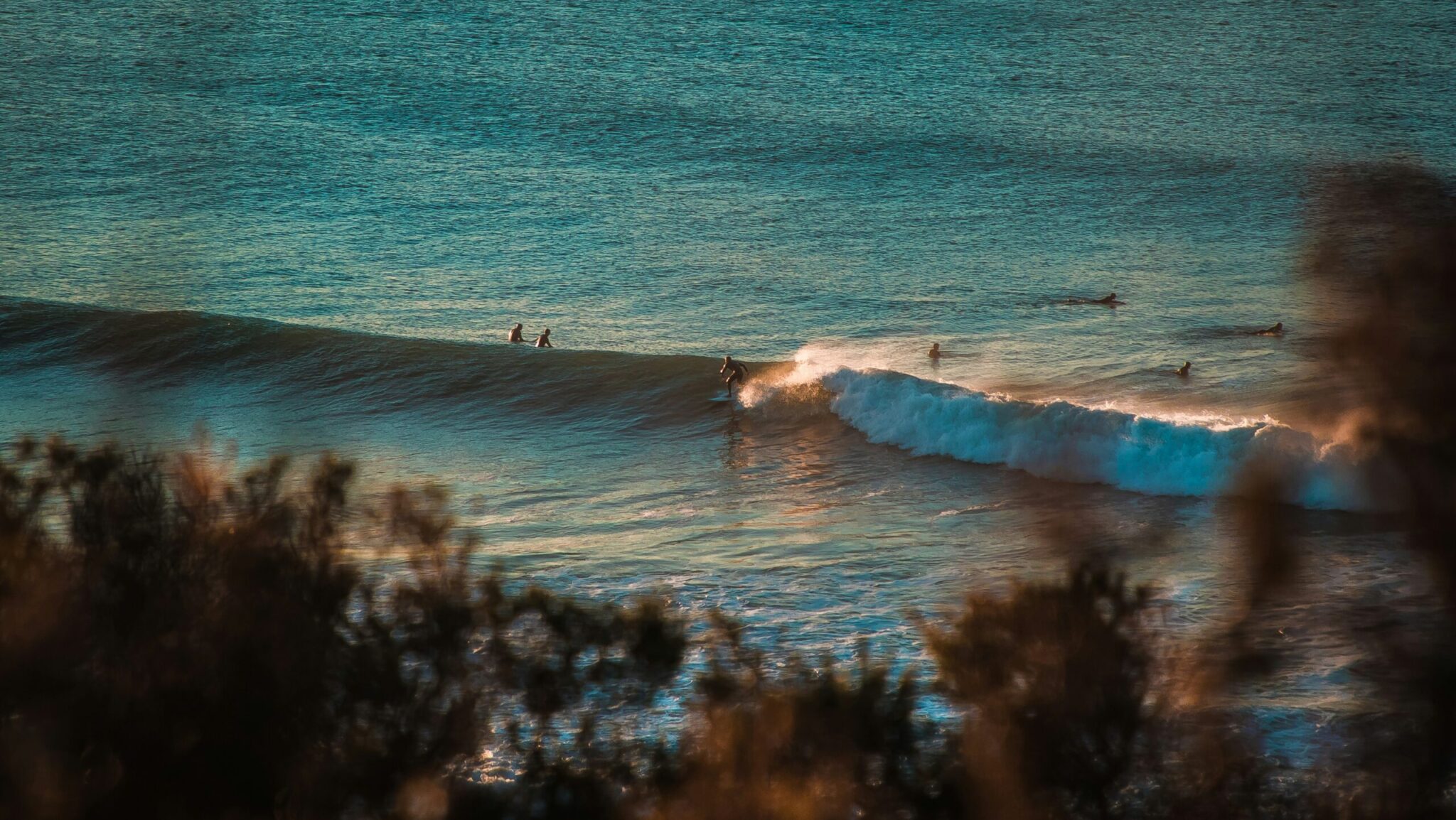 Jan Juc Surf Guide 2026 | Your Complete Surf Travel Guide